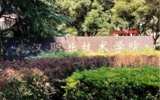 武汉职业技术学院西区,与东区隔着光谷最繁华的关山大道。门口就是...