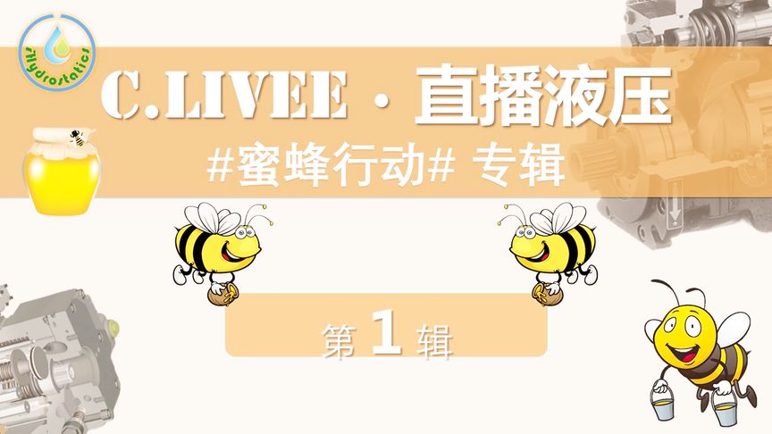 #蜜蜂行动# | 柱塞泵零部件的专业名称及功能 (一)