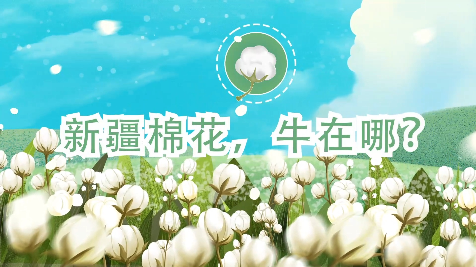 Ae新疆棉花 mg动画一分钟 出