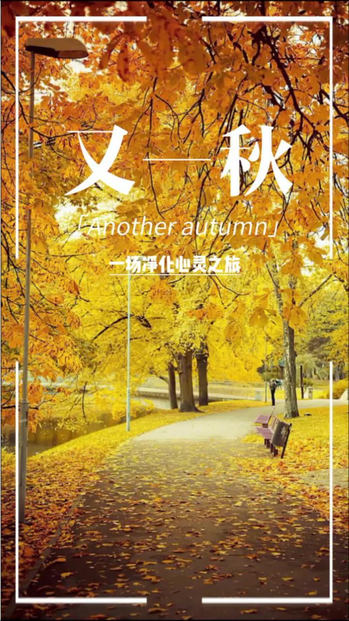 天凉又一秋#剪映模板 #一键剪同款 #模板制作 #点击
