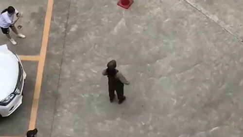 这就是传说中的第三视角,太逗了!