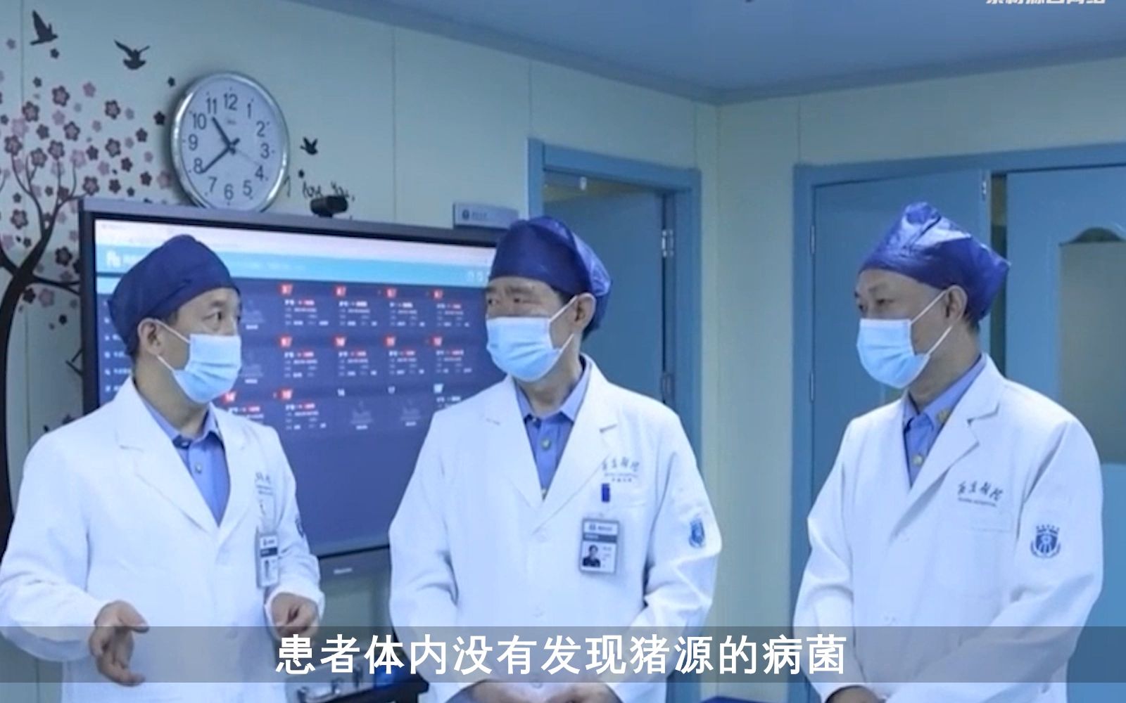 用基因编辑猪的皮肤来治疗烧伤