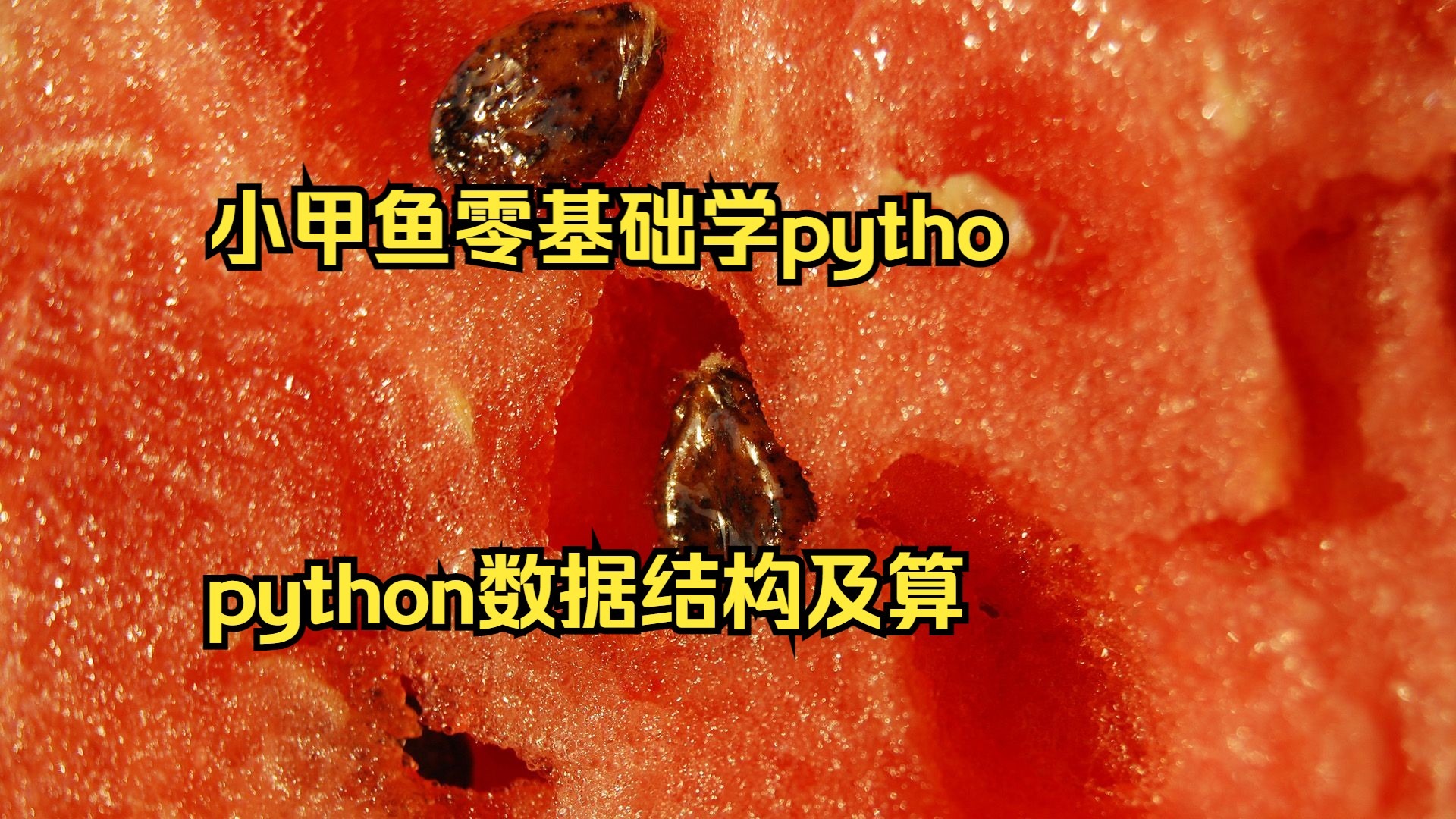 小甲鱼零基础学python视频 python数据结构及算法实现