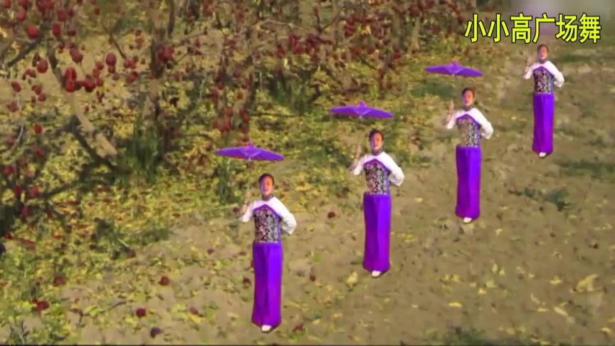 永安小小高精选伞舞《红枣树》 歌曲太好听了!