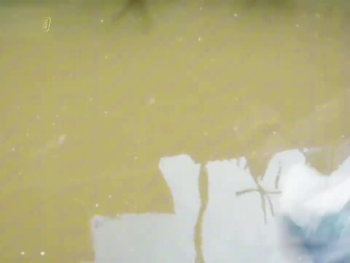 从来不相信这个世界上