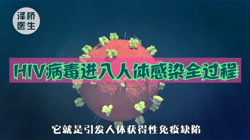 艾滋病病毒进入人体:HIV感染人体全过程动画视频