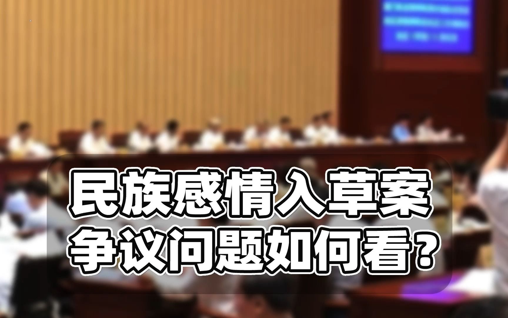 民族精神入法引争论!解决方案或有四种可能