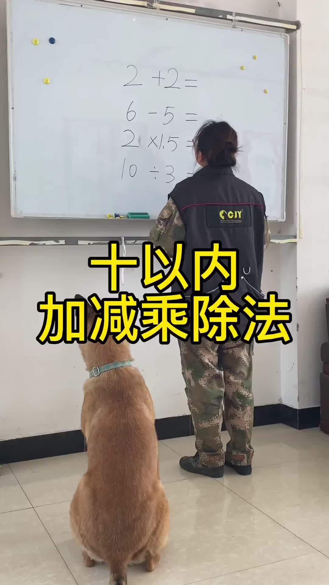 十以内的加减乘除
