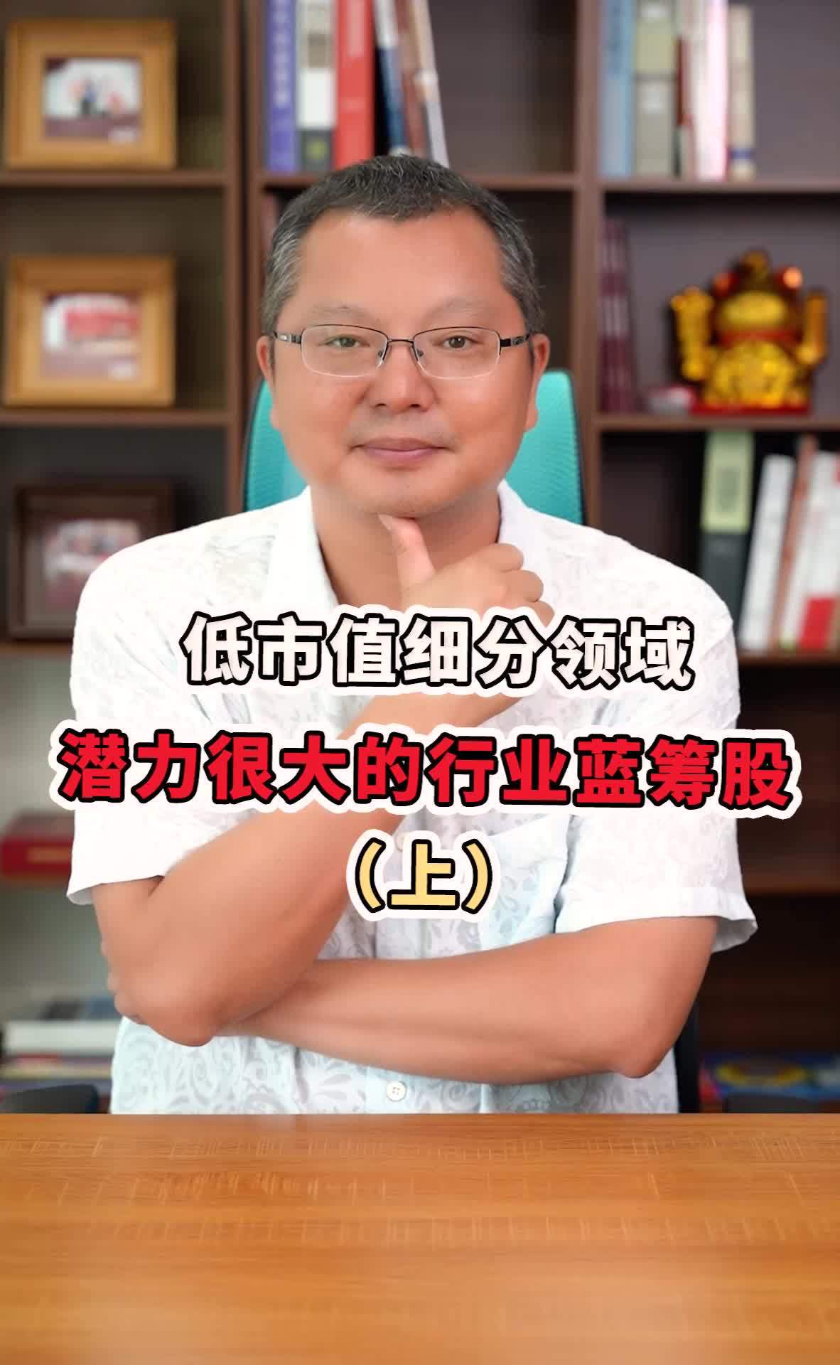 低市值细分领域,潜力很大的行业蓝筹股(上)投资 股票财经