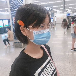悠然见菊 