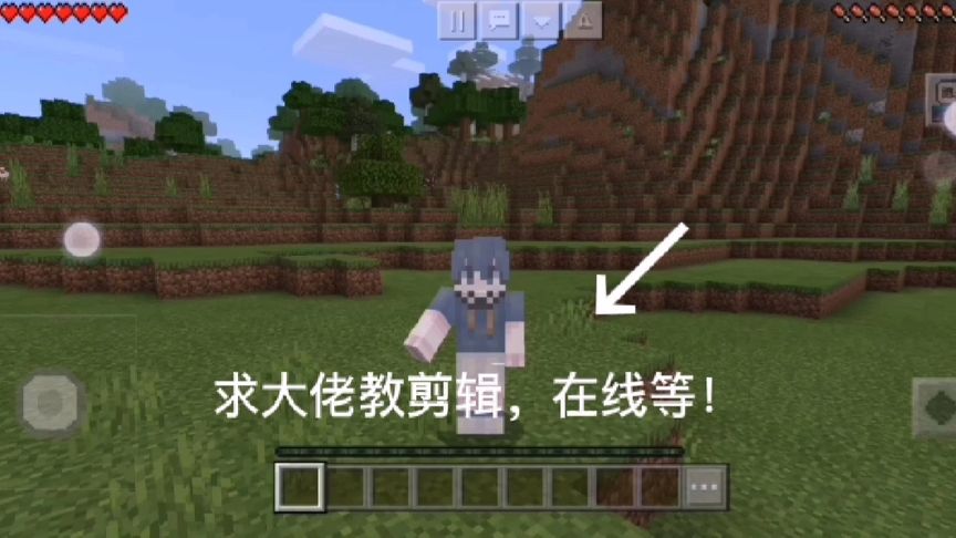 我的世界原版生存01:新手主播竟会“魔法”?