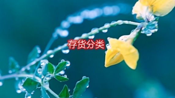 用友T+如何增加客户 供应商档案#会计 #财务