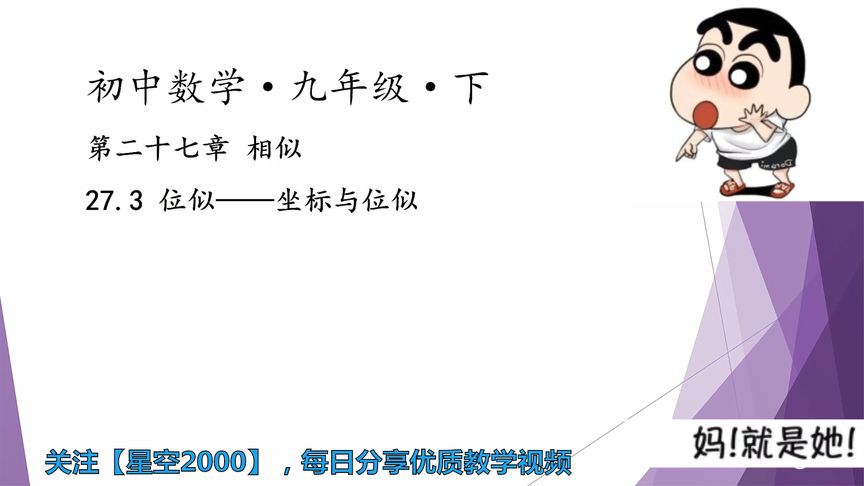 几何图形相似中的位似——中考数学总复习