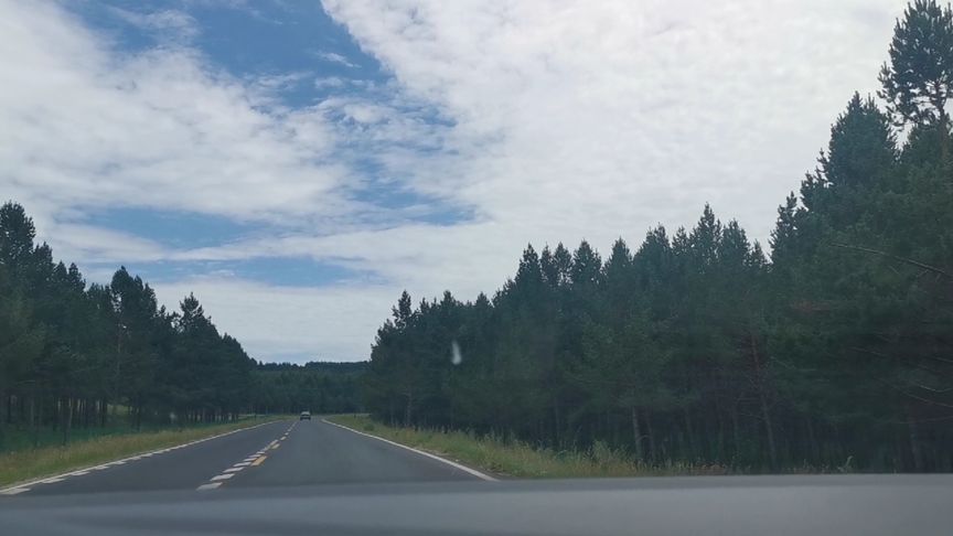 穿行于塞罕坝国家森林公园