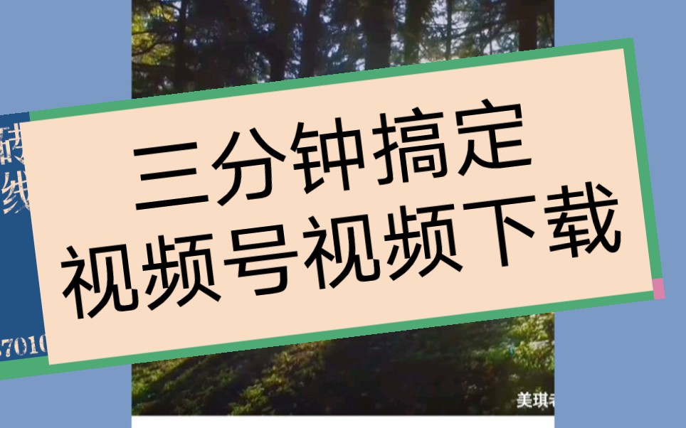 三分钟搞定视频号视频下载,保存视频号视频到手机相册的方法