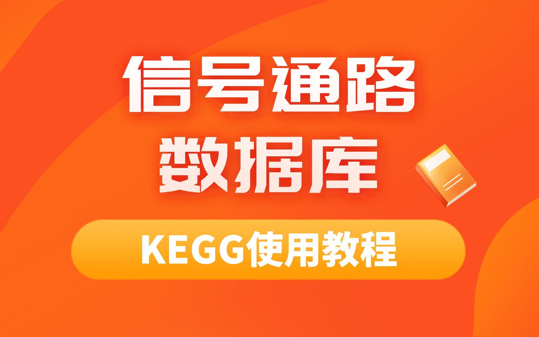 KEGG信号通路数据库使用教程