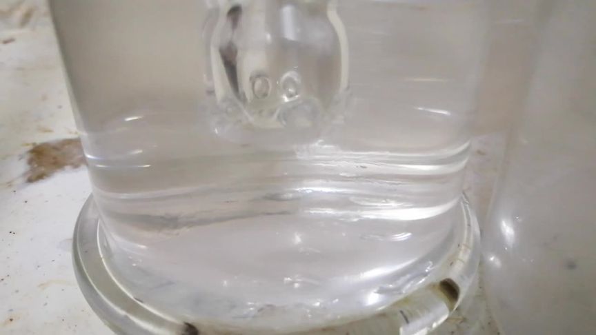 氯化氢气体溶于水带来的密度差所造成的波纹 #科学 #实验