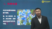10分钟认识一种中药——桔梗