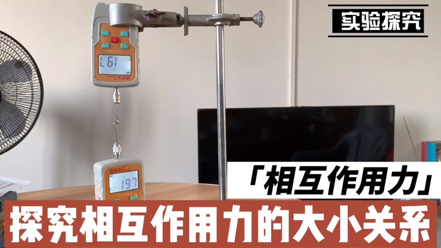 实验演示力的作用是相互的&实验探究相互作用力的大小关系
