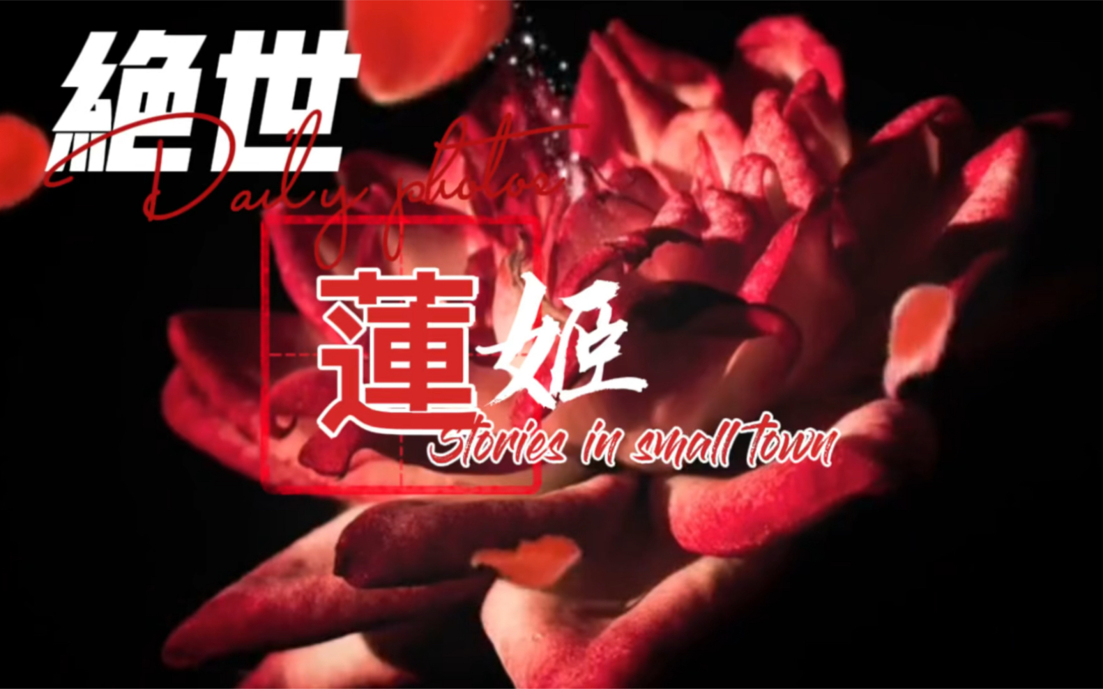 【目黑莲】|“世界上常见的莲花颜色有:红莲、白莲、粉莲、你是我的...