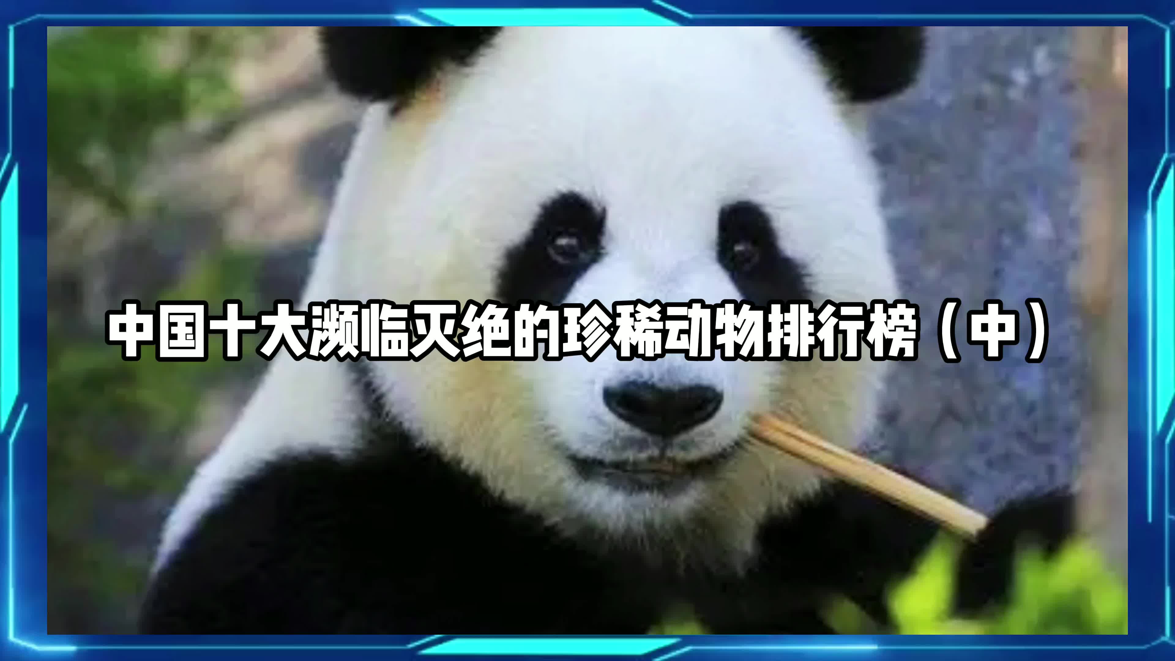 中国十大濒临灭绝的珍稀动物排行榜(中)