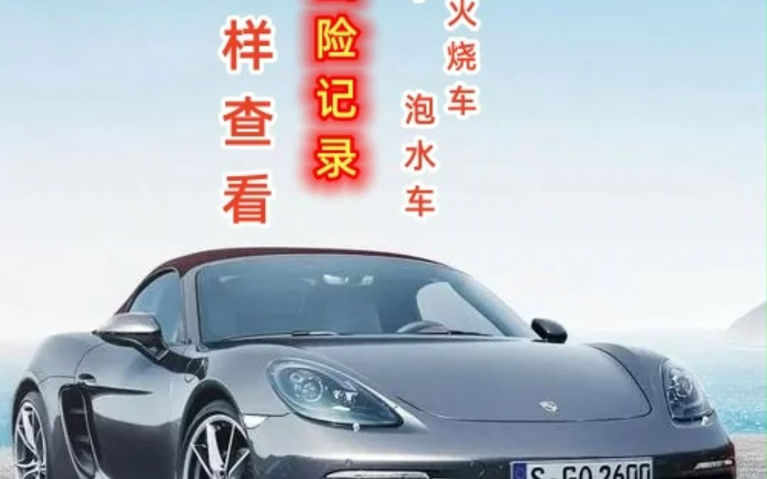 出险记录查询,怎么查详细?#二手车 #维修项目 #出险记录
