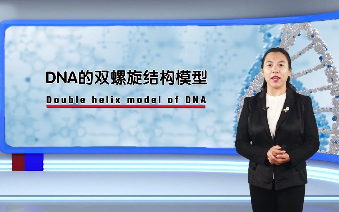 DNA的双螺旋结构