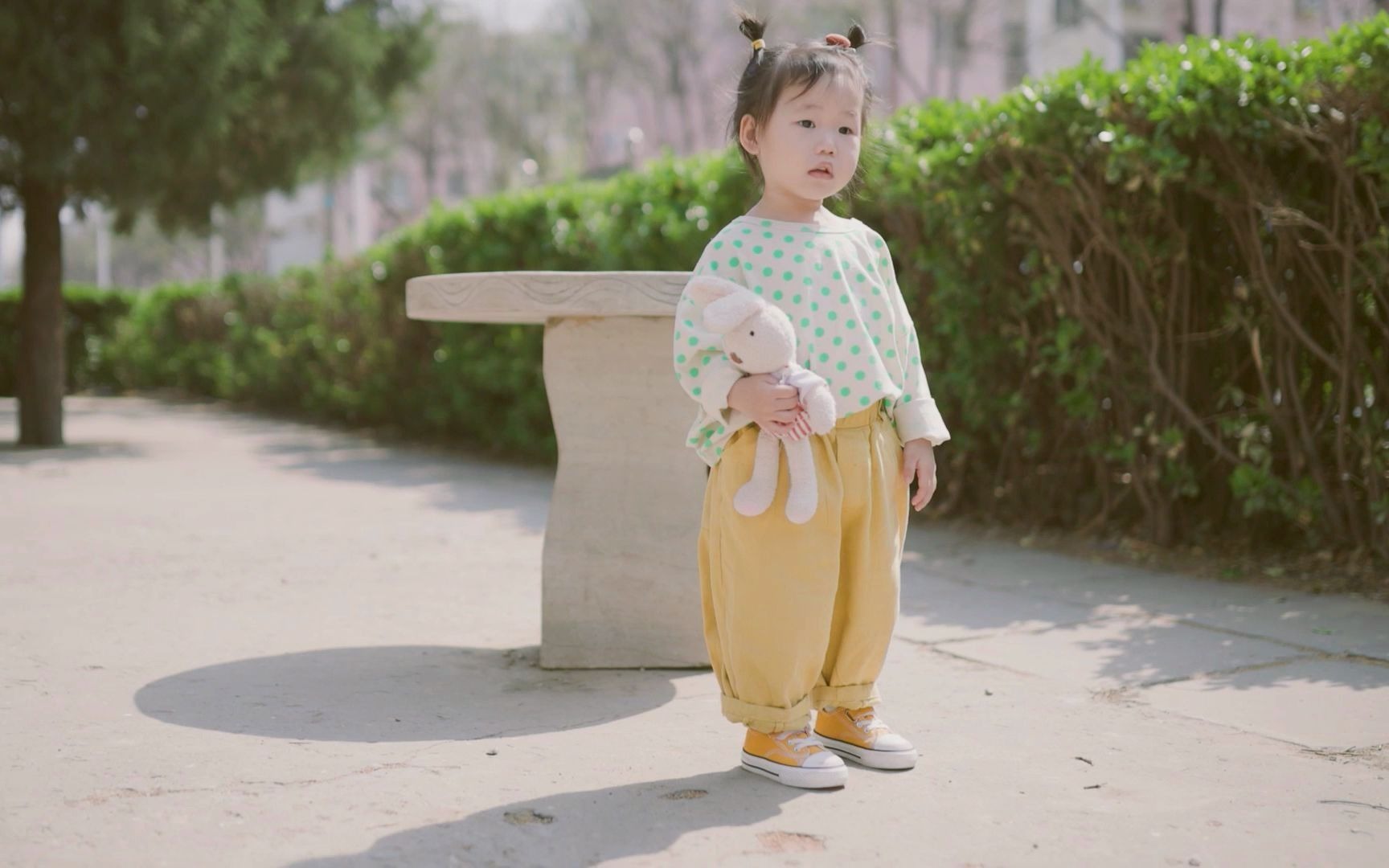 佳能eos R5 大疆rsc2