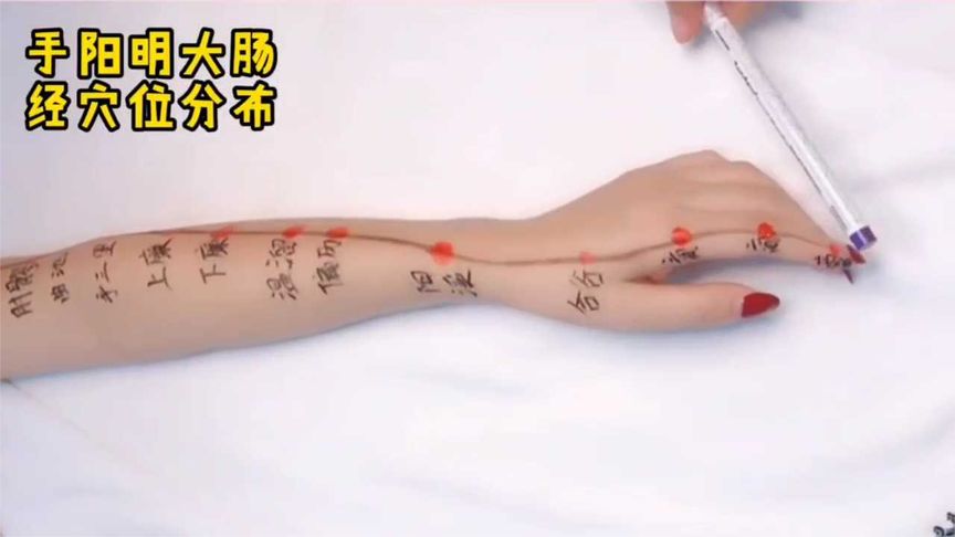 手阳明大肠经穴位分布尚赫方成老师