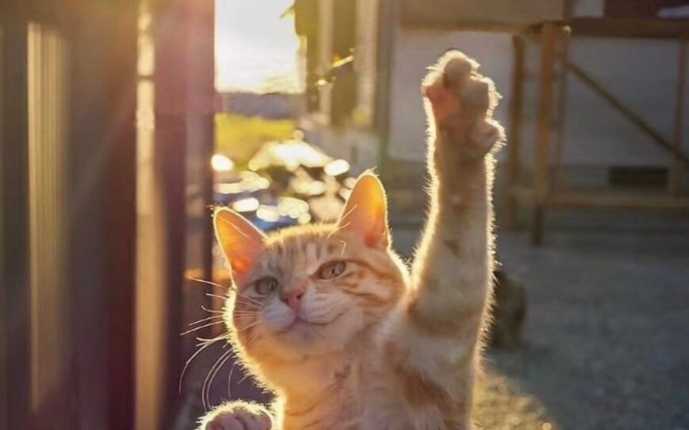 《王者荣耀》-王者模拟战开心的游戏∠( ᐛ 」∠)