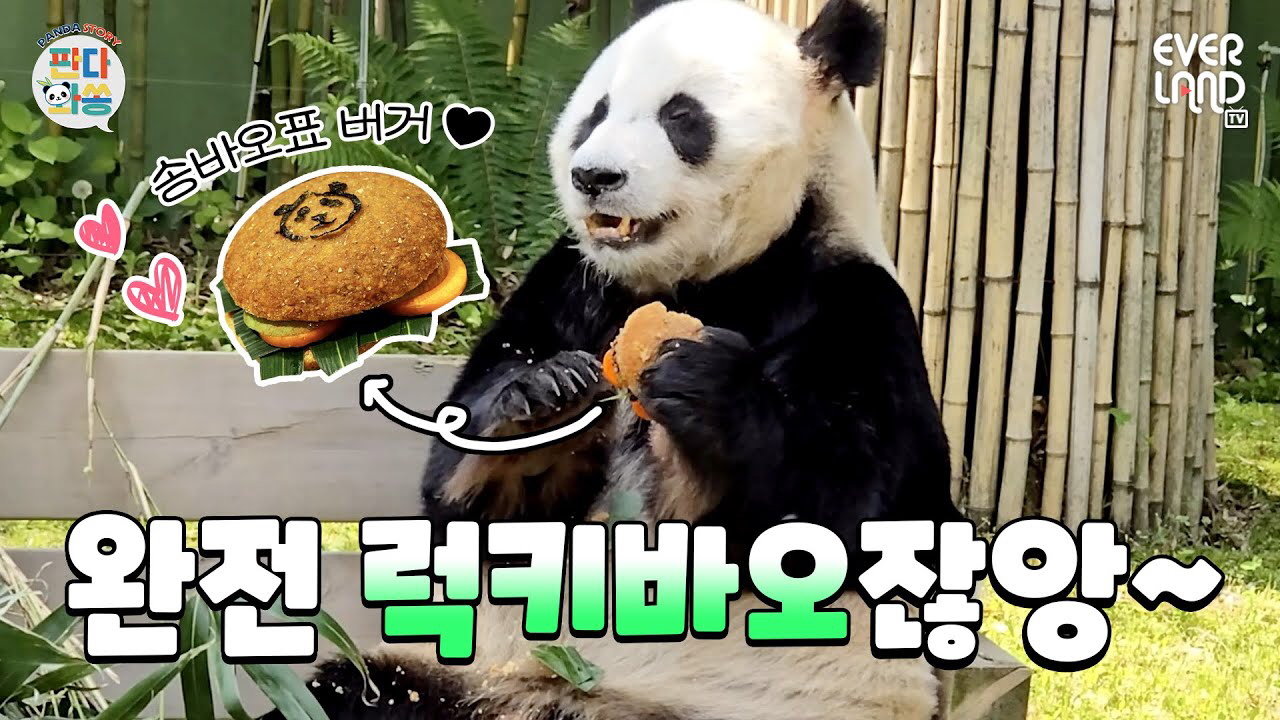 熊猫来了 ep159 中字字幕机翻