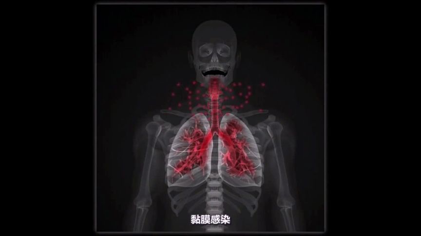 新型冠状病毒是怎么传播与感染的,感染率与死亡率是多少?