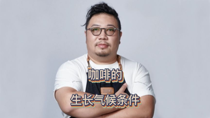 泡哥聊咖咖啡树生长的气候条件