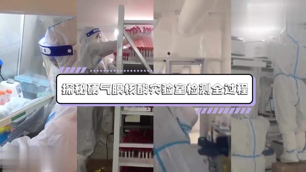 援沪直击|视频:在上海,2万余管核酸检测的全过程