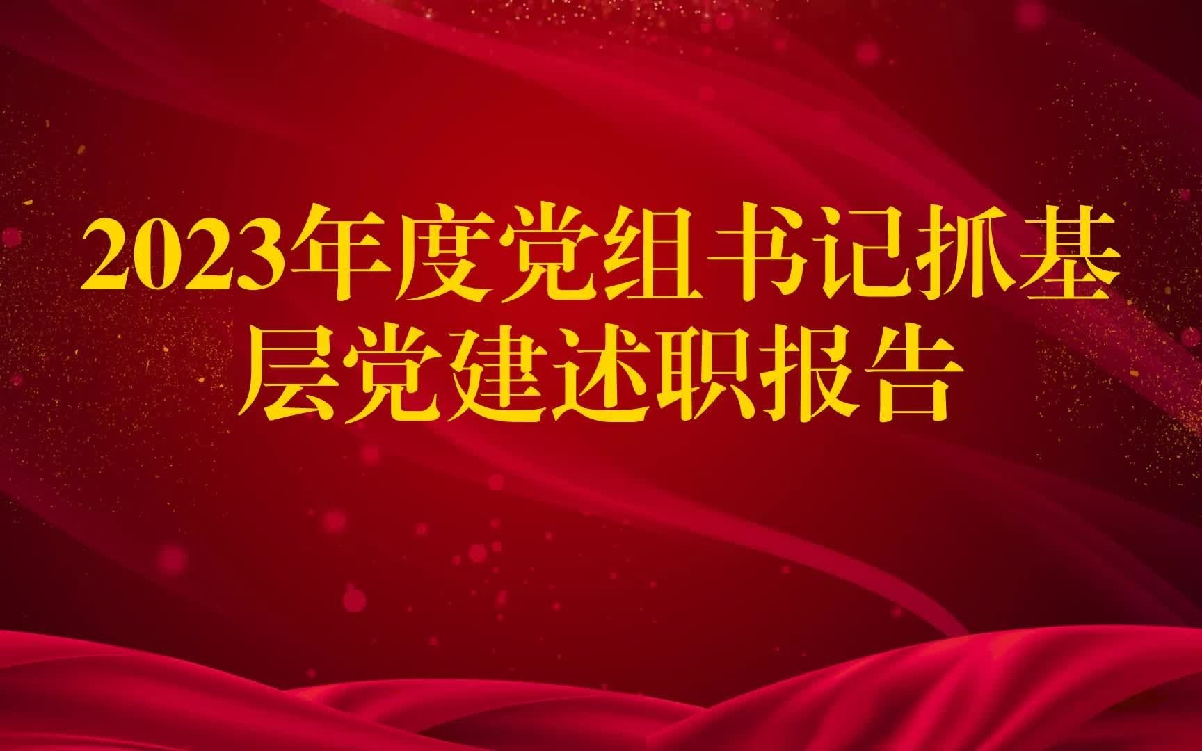 2023年度党组书记抓基层党建述职报告