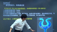 1.考点分析、肾的功能解剖和肾血流量、肾小球的滤过功能、肾小管和...