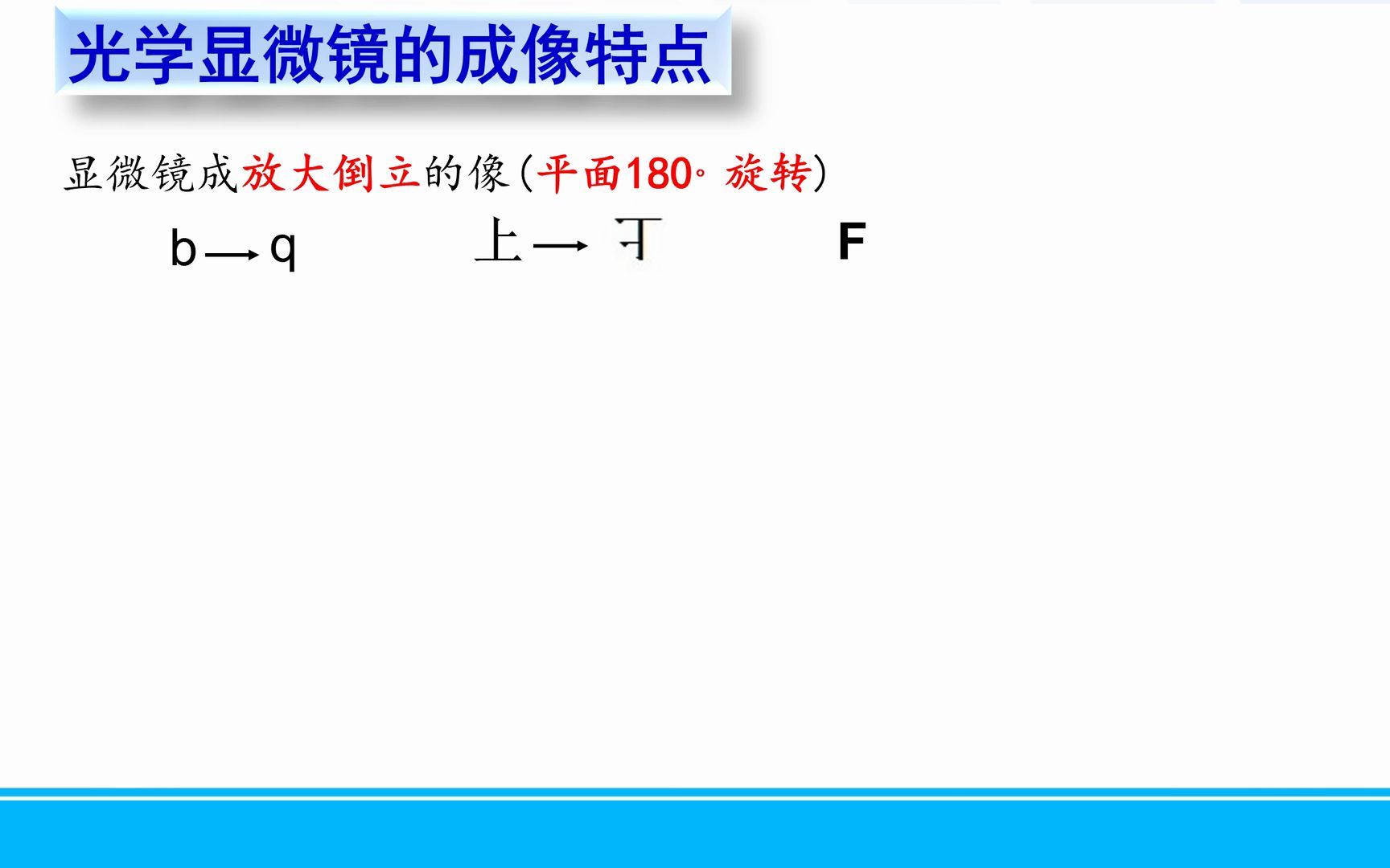 高中生物一轮复习微课1.6.8光学显微镜的成像特点-23
