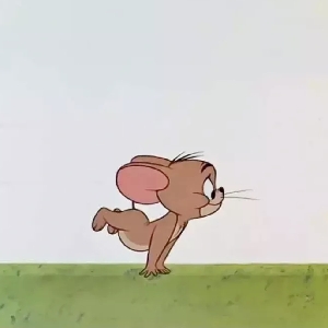 我不是小小杰瑞 