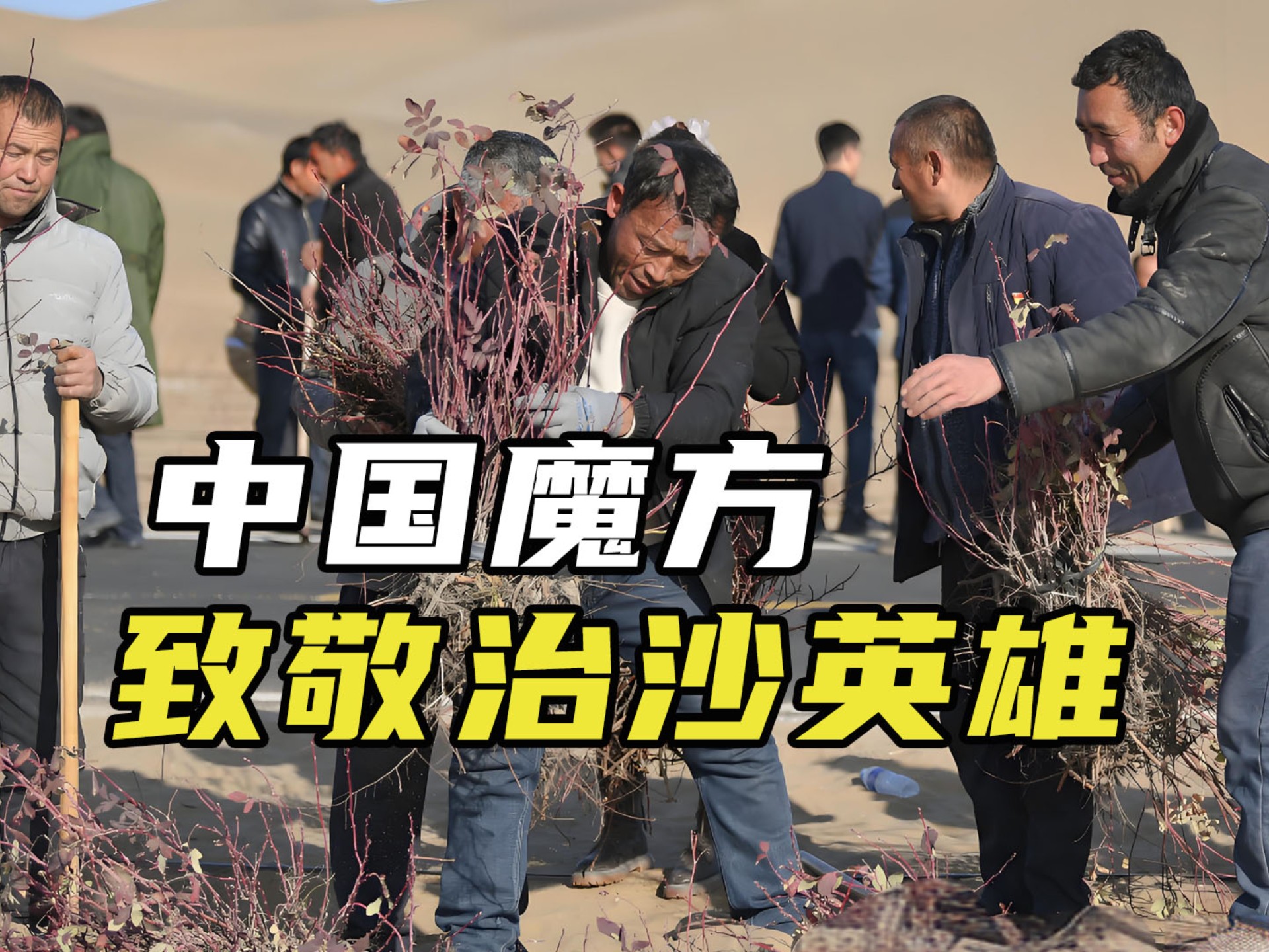 沙漠变绿洲,向这些治沙英雄致敬