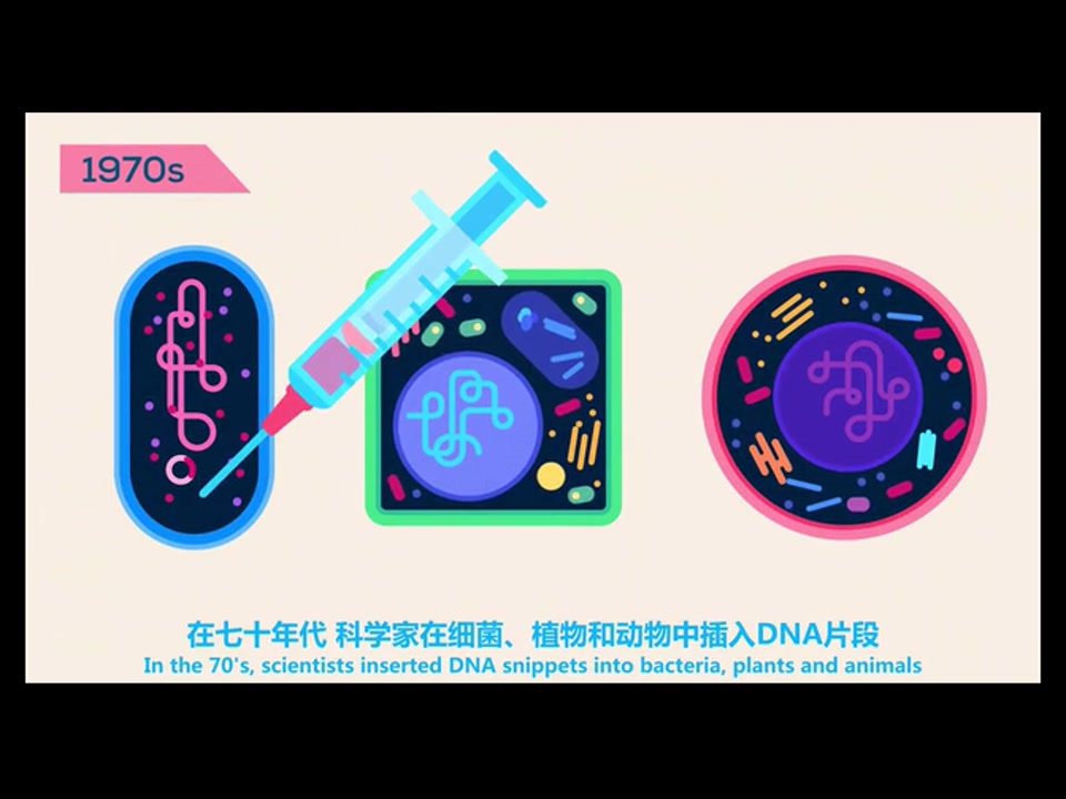1.3 基因工程的应用