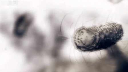 如果地球上突然没有了微生物!世界会变成什么样