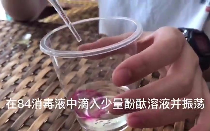 “84”消毒液的性质探究