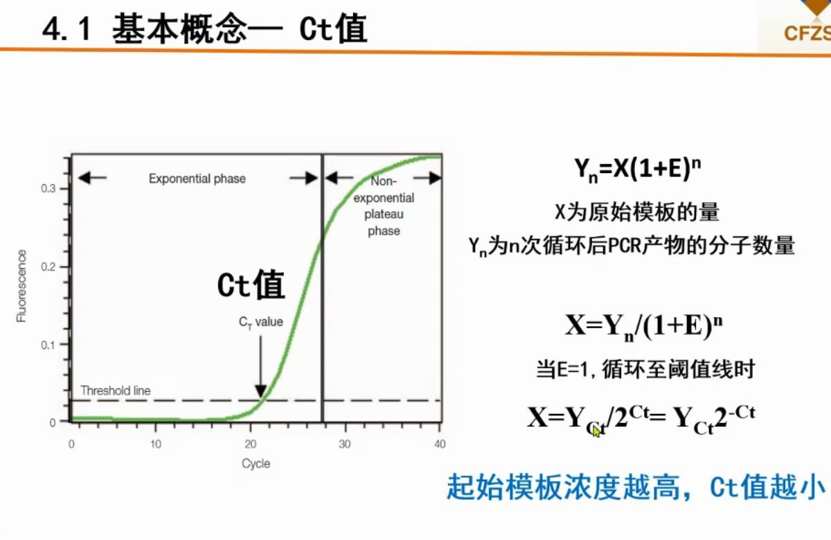荧光定量PCR