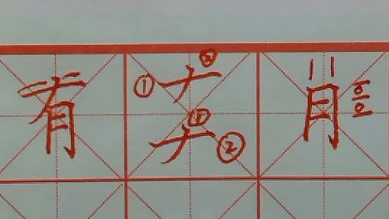 有字书写要领 硬笔书法视频教程