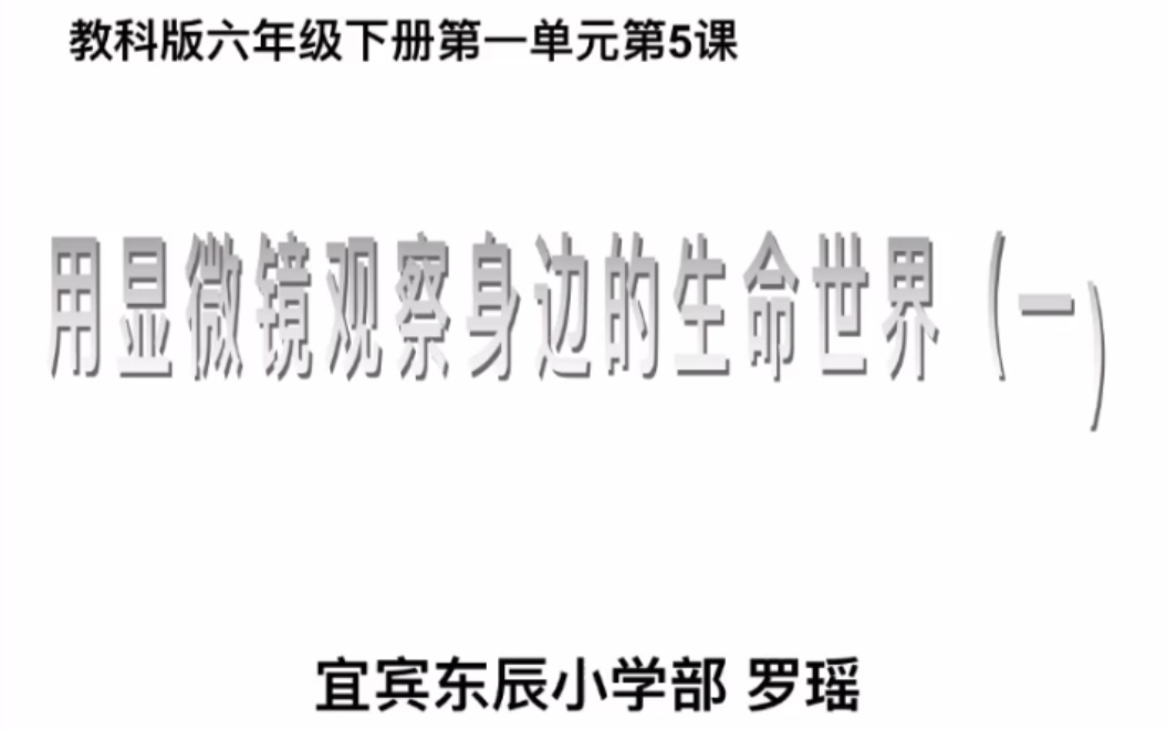 用显微镜观察身边的生命世界