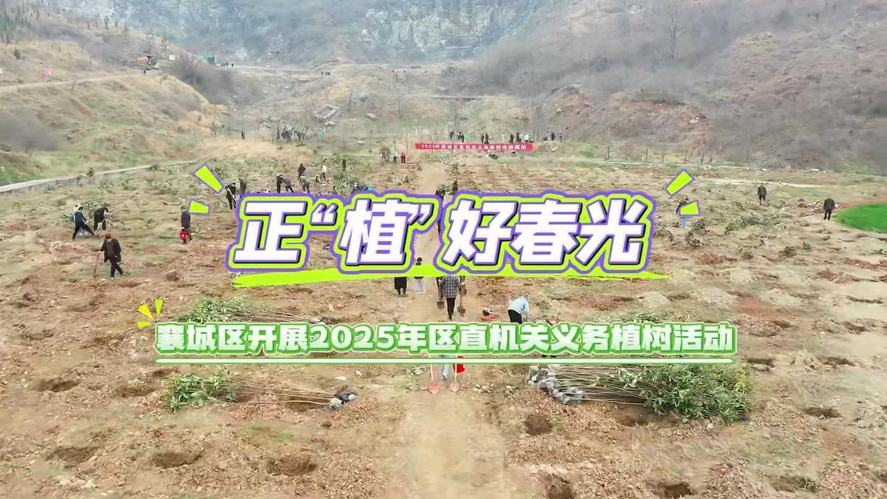正“植”好春光!襄城区开展义务植树活动