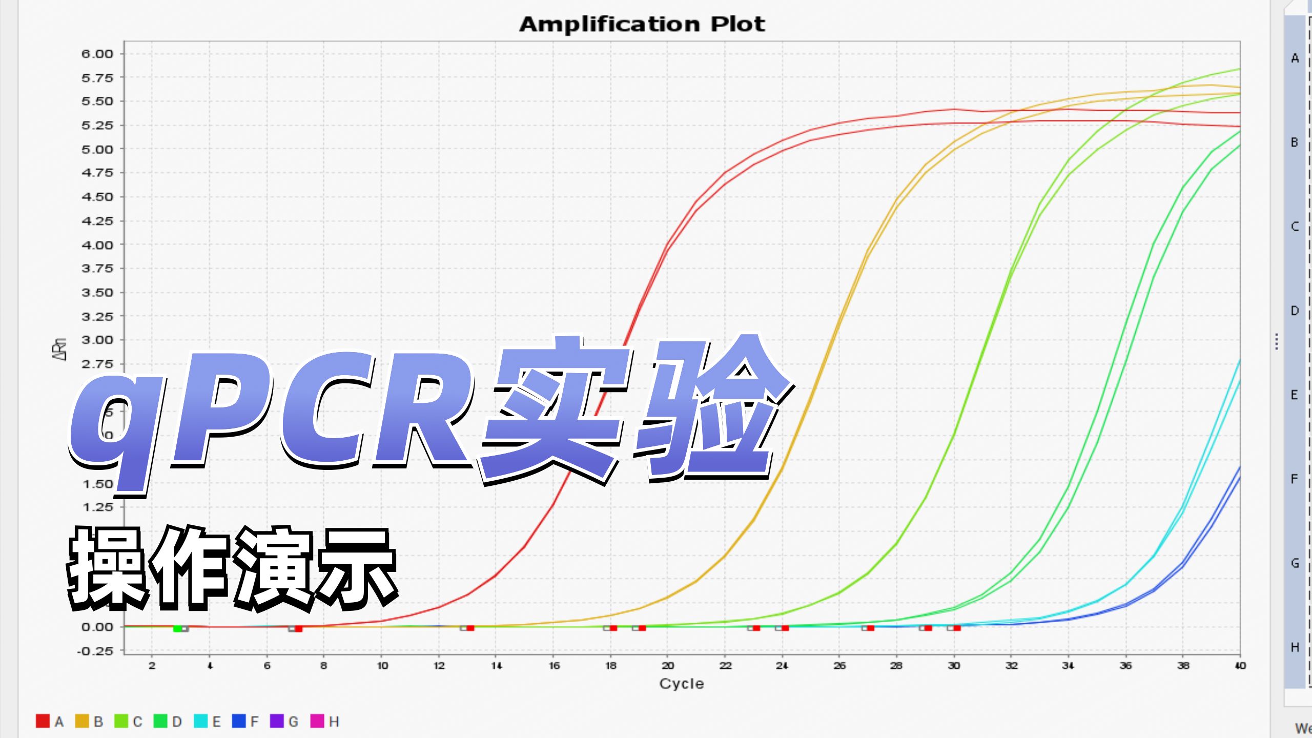 【科研实验】qPCR实验操作演示,一个视频教会你实时荧光定量PCR...