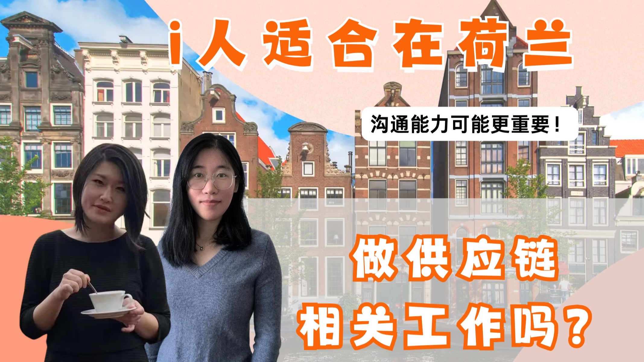 【荷兰工作】i人适合在荷兰做供应链相关工作吗?