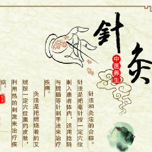 中医传承技术 