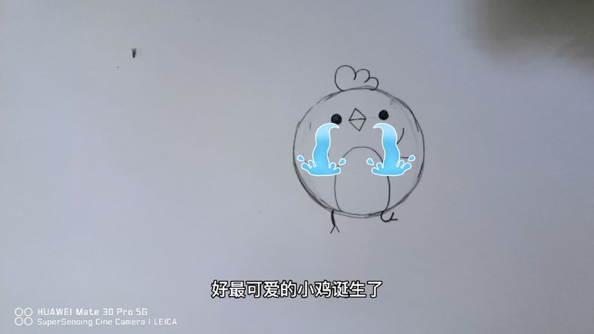 今天是可爱小鸡0基础学画简笔画
